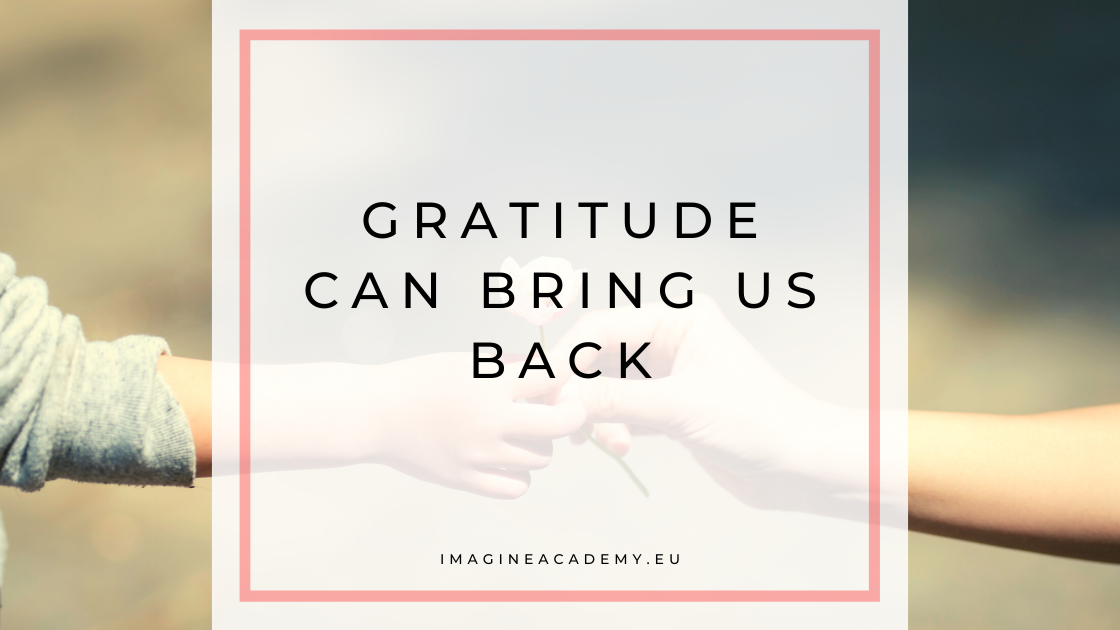Gratitude can bring us back - Imagine Yoga Academy