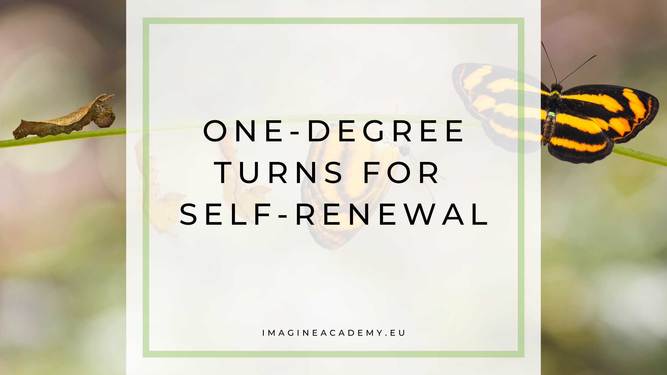 One-degree turns for self-renewal - Imagine Yoga Academy